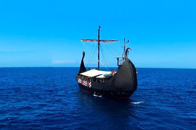Viking Cruise Whales and Dolphins Watching - Who Should Book This Tour?