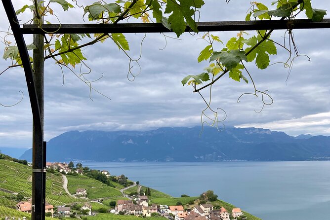 Vine Stories: Lavaux & Lutry wine walk - Why This Tour Outshines Many Others