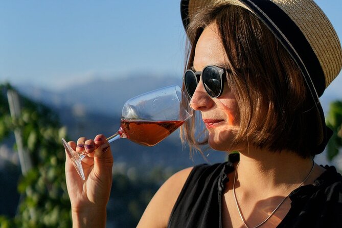 Vineyard Tour with Wine Tasting within Nice city borders - Who Will Love This Tour?