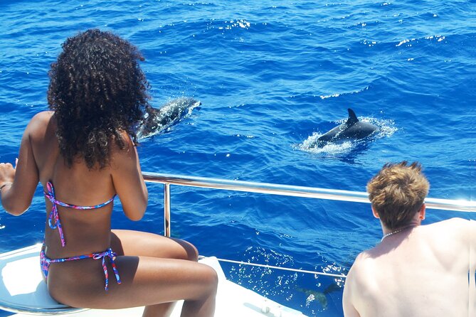 VipDolphins Luxury Whale Watching - The Experience Value: Is It Worth the Cost?