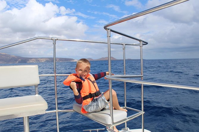 Whale and Dolphin Watching Catamaran with Transfer and Buffet - Practical Details and Tips