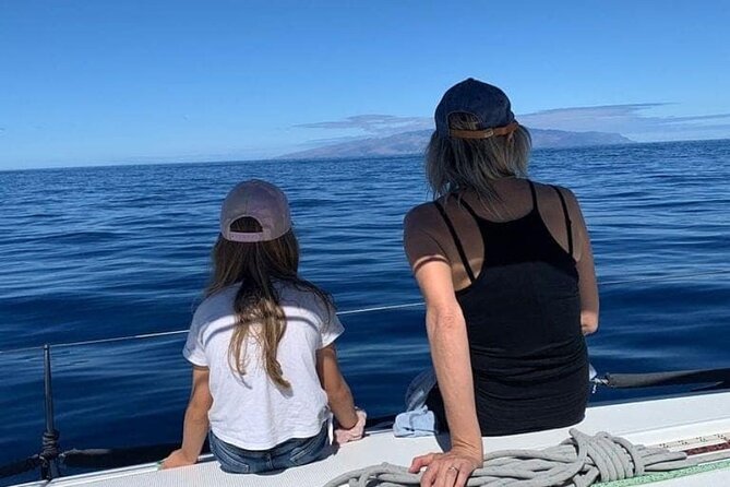Whale and Dolphin Watching Yacht Trip in Puerto Colon - Analyzing the Cost and Overall Value