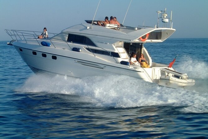 Whales and Dolphins excursion on a Luxury Yacht in Canary Islands - Who Will Enjoy This Tour?