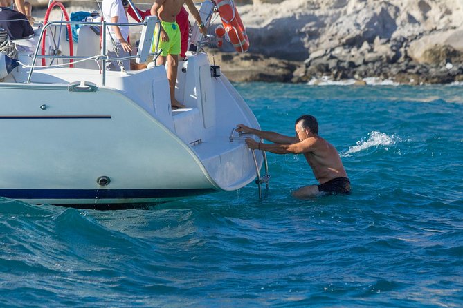Whales & Dolphins watching in exclusive sailboat - Authentic Travel Stories from Reviews
