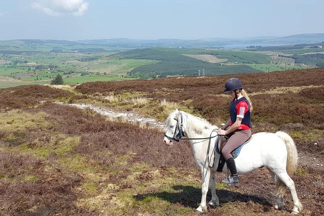 Wicklow Mountains Horse Trekking - The Scenery and the Irish Landscape