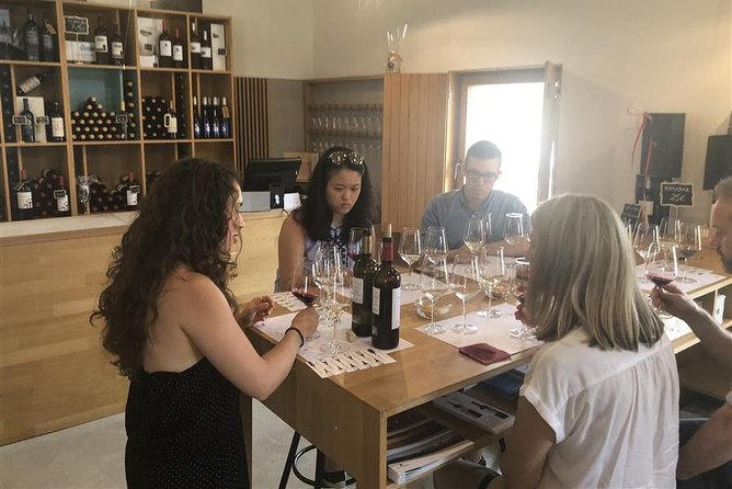 Windmills of Don Quixote Wine Tour & Tasting from Madrid - The Sum Up