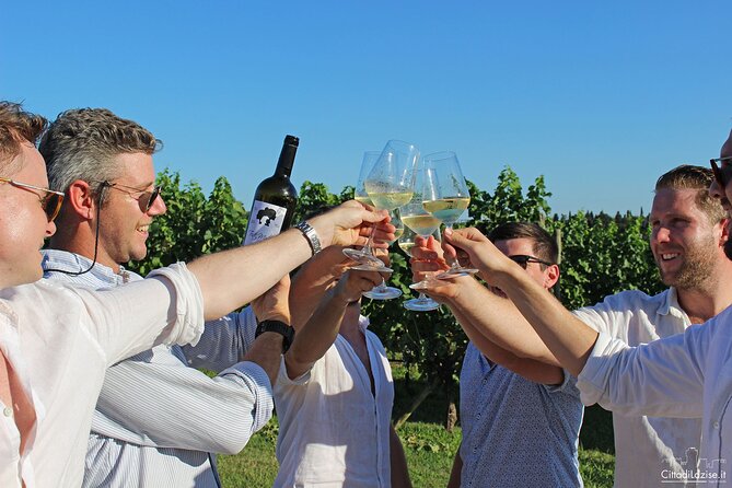 Wine and Food Tasting in the Vineyards in Lazise - The Value of the Experience