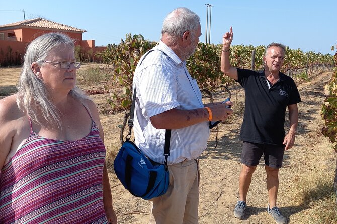 Wine Lovers: Winery Tour w/ Tasting & Tapas (Albufeira/Vilamoura) - The Scenic Drive and Viewpoints
