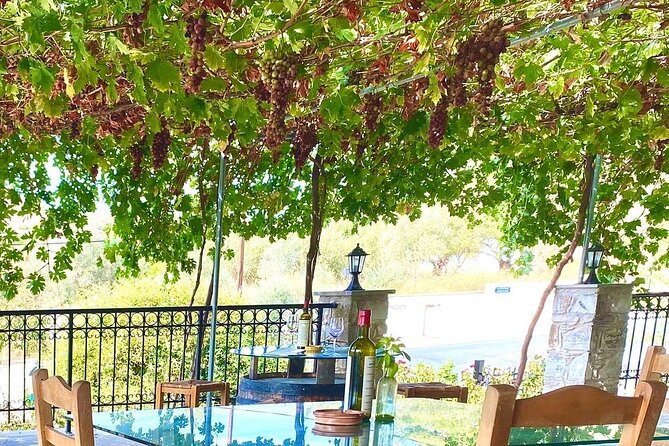 Wine Tasting and Winery Tour in Lemona Village, Paphos - The Sum Up: Who Will Love This Experience?