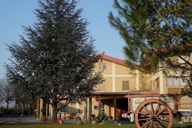 Wine tour and Tasting in Nocciano - Practical Considerations and Value