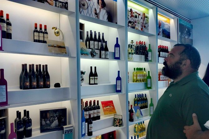Winery tasting in Marsala and Mothia lagoon tour - Detailed Breakdown of the Itinerary