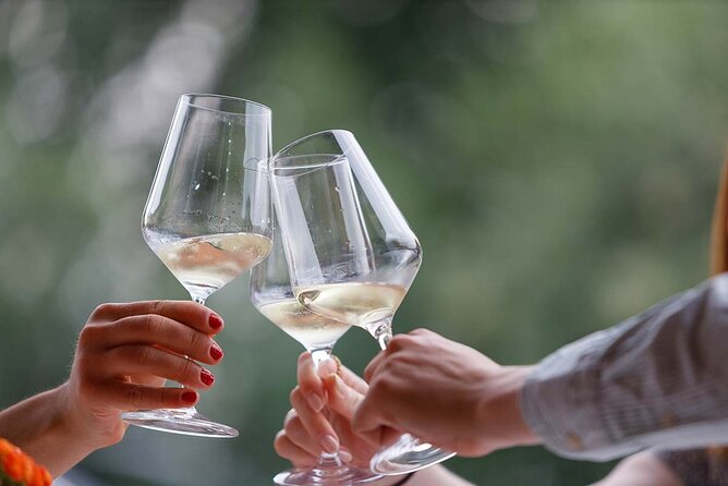Winery Tour and Tasting of Garda Wines in Lazise - Practical Details and Considerations