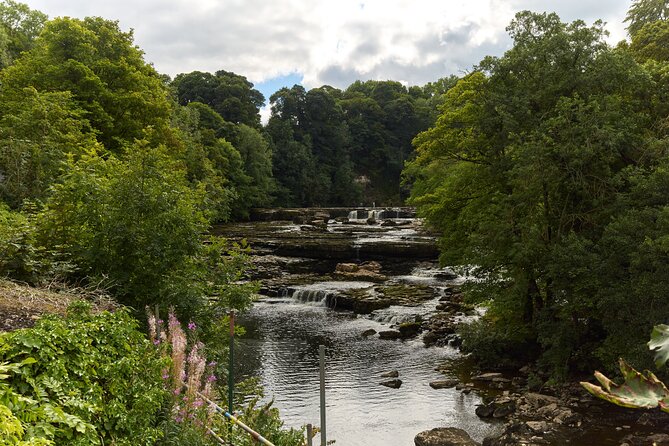 Yorkshire Dales Tour from York - Final Thoughts: Who Should Consider This Tour?