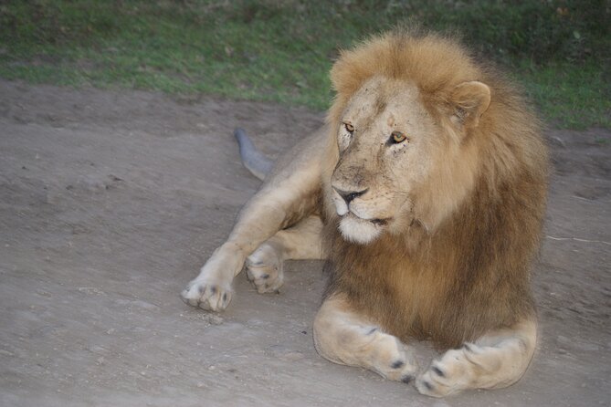 4 Days Group Camping Safari - Key Points