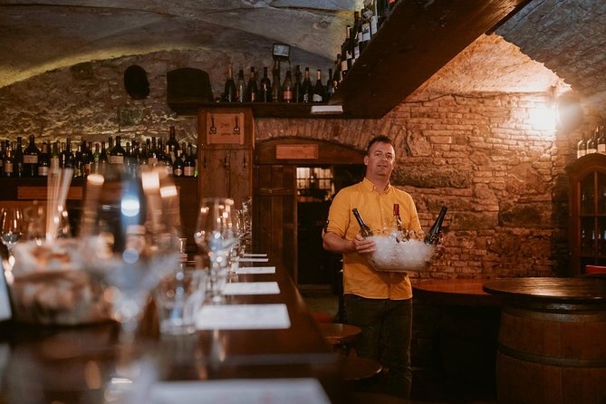 2-Hour Interactive Wine Tasting Experience in Ljubljana - The Highlights — What Travelers Love