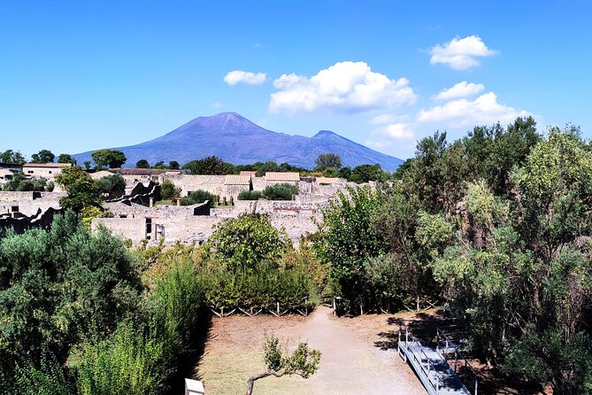 2 Hours Private Tour in Pompeii with Archaeologist - FAQs
