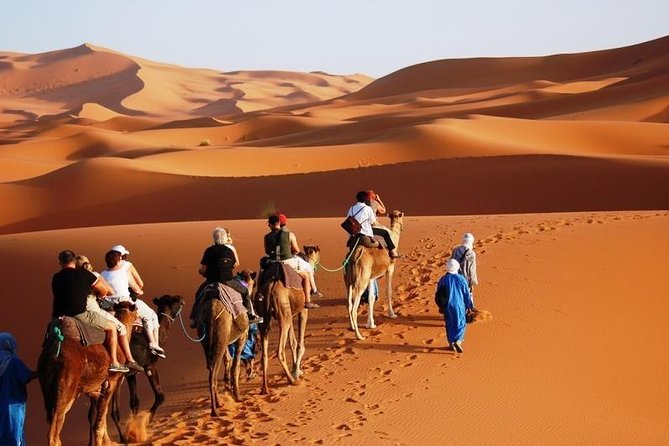 3-Day Marrakech to Fes Sahara Desert Tour via Merzouga - Final Thoughts: Is This Tour Right for You?