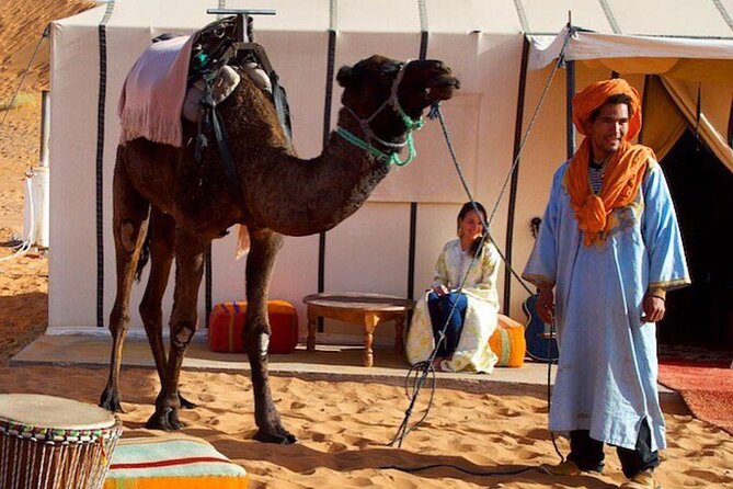 3 Days Desert Tour From Marrakech To Merzouga Dunes & Camel Trek - The Bottom Line