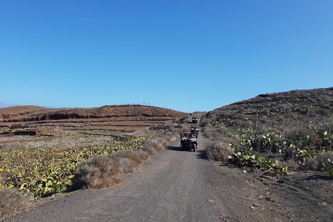 3-hour Buggy Tour from Costa Teguise - FAQ