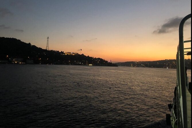 3 Hours Bosphorus Boat Cruise with Stop in Asia Side - Food, Comfort, and Practical Notes