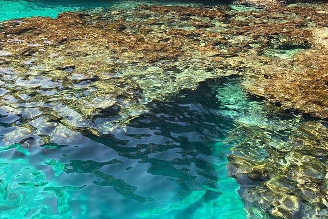 4 hour tour visiting all the caves, swimming stops and aperitif - Final Thoughts on the Puglia Cave and Coastline Tour