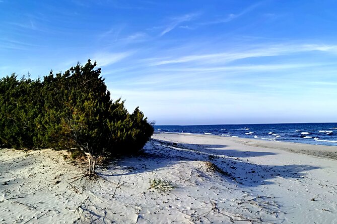 4 × 4 excursion to the beaches of Biderosa and Capo Comino - Why Choose This Tour?
