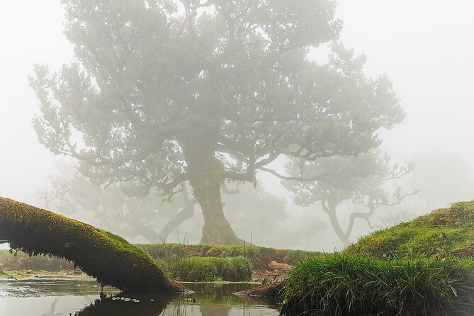4x4 Jeep Tour to the West & Northwest of Madeira - The Experience and What It Means for You