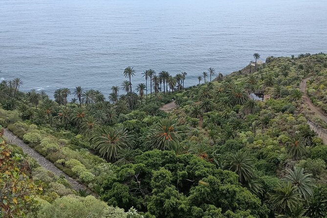 6hrs Private Tour in North Coast of Tenerife - Who Would Enjoy This Tour?