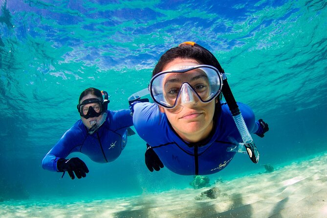 ABC Snorkel Charters Port Douglas Snorkelling max 12 passengers - Is It Worth the Price?