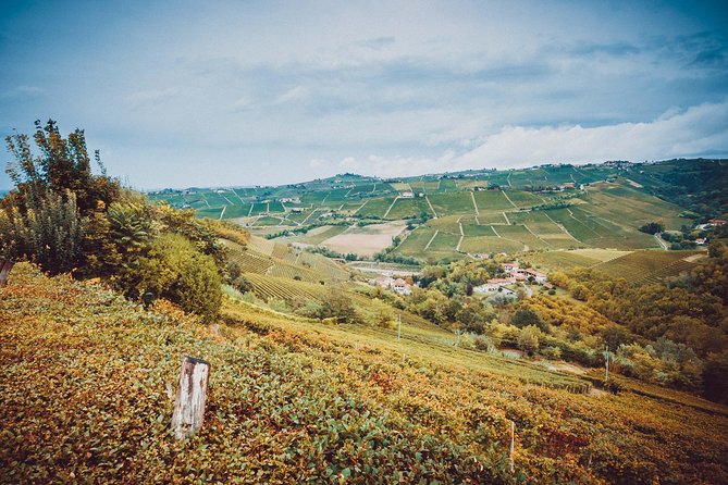 Abellonio Cascina Piccaluga - visit to the vineyards, to the wine tasting cellar - Frequently Asked Questions