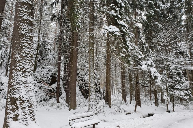 Adrspach Teplice Rocks Filming Site of The Chronicles of Narnia - Detailed Breakdown of the Experience