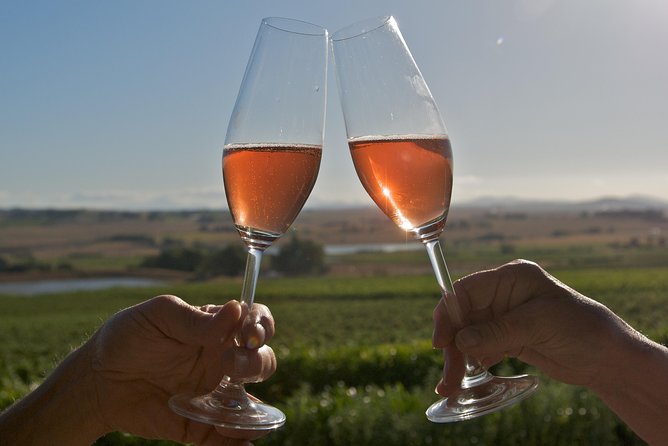 African Story Wine Tours in the Cape Winelands - Who Is This Tour Best For?