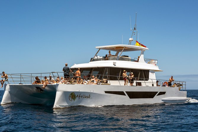 Afrikat Afternoon Cruise - Authentic Feedback from Travelers