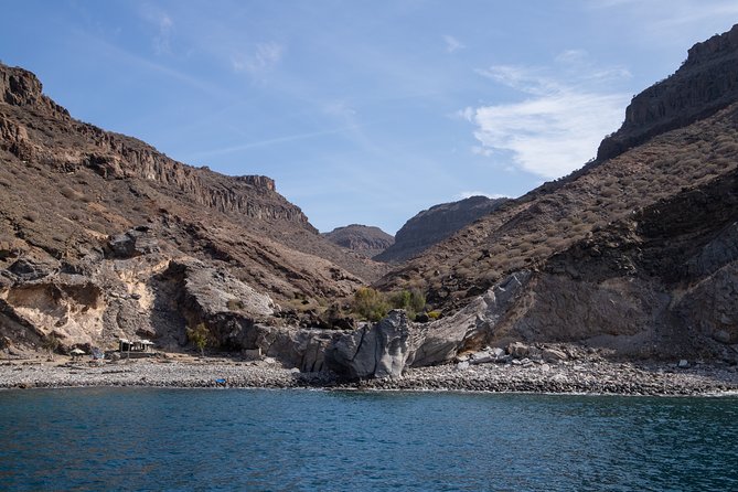Afrikat Morning Cruise - The Sum Up: Is the Afrikat Morning Cruise Worth It?