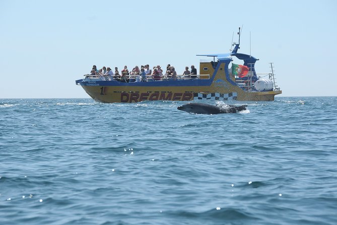 Albufeira Dreamer Boat Trip - The Practical Side: Tips for Your Trip