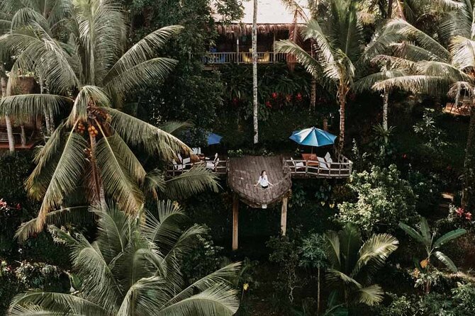 All-Inclusive Ubud Private Tour - Who Should Consider This Tour?