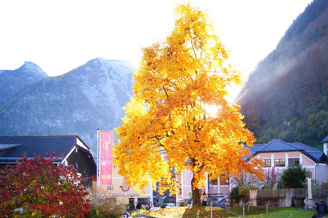 Alpine Hallstatt Day Trip from Vienna incl. Admont Abbey Visit - FAQ