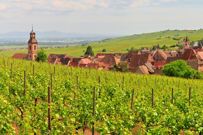 Alsace Wine Route Small Group Half-Day Tour with Tasting from Strasbourg - FAQs