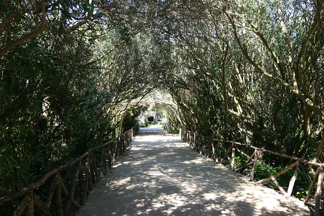 Ancient Syracuse: private guided tour of the Neapolis archaeological park - The Value of a Private Tour
