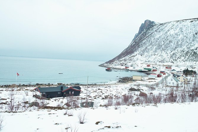 Arctic Fjord Sightseeing by Minibus - Passenger Experiences and Reviews