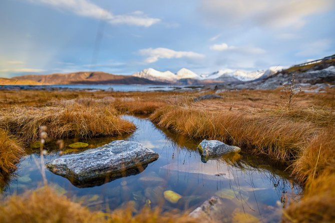 Arctic Nature Tour from Tromsø by minibus - FAQ