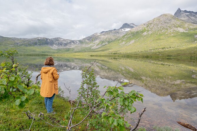 Arctic Roadtrip: fjords with scenic picnic | Sightseeing - Potential Drawbacks