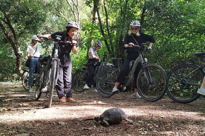 Athens Small Group Electric Bike Tour - Who Will Love This Tour?