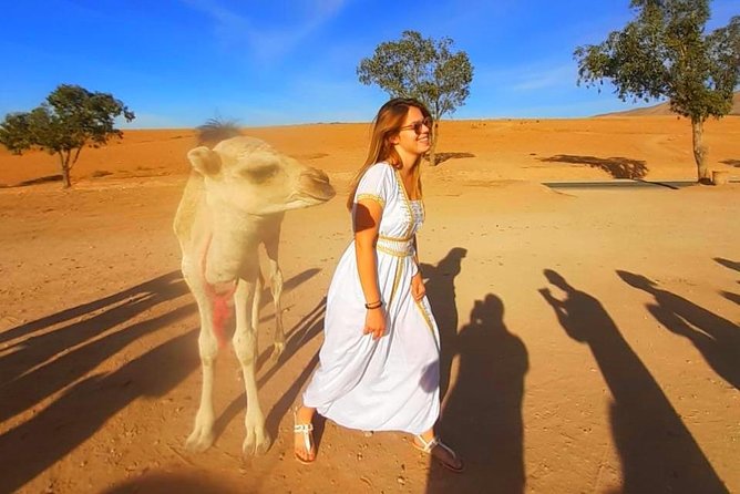 Atlas Mountains, 3 Valleys & Agafay Desert from Marrakech-DayTour - Final Thoughts
