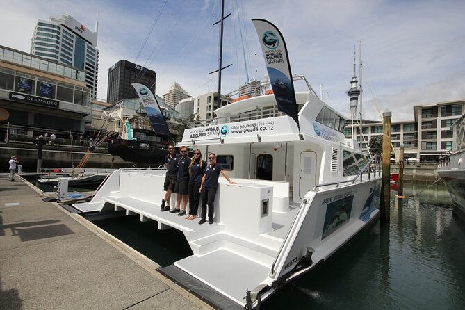 Auckland Dolphin and Whale Watching Eco-Safari Cruise - Who Is This Tour Best Suited For?