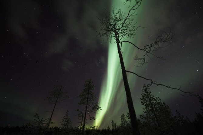 Aurora Borealis Picnic in Rovaniemi - The Sum Up
