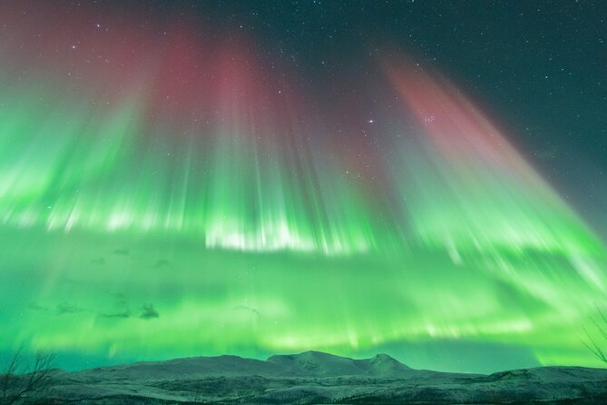 Aurora Hunt with the campfire and professional photographer - FAQ