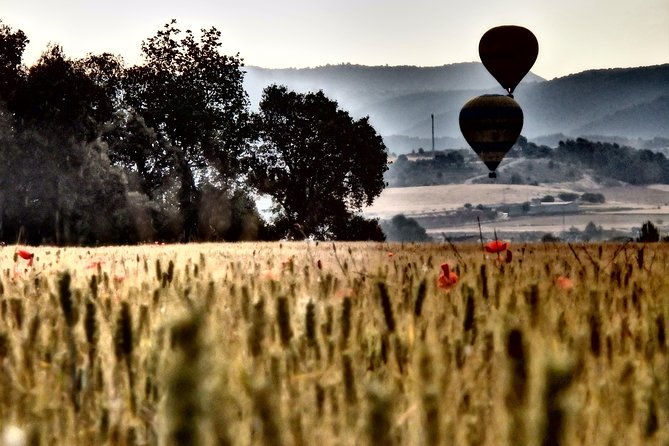 Barcelona: Montserrat Hot Air Balloon Ride with Champagne Toast - Logistics and Practical Considerations