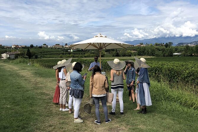 Bardolino Wine Experience - Practical Tips for Visitors