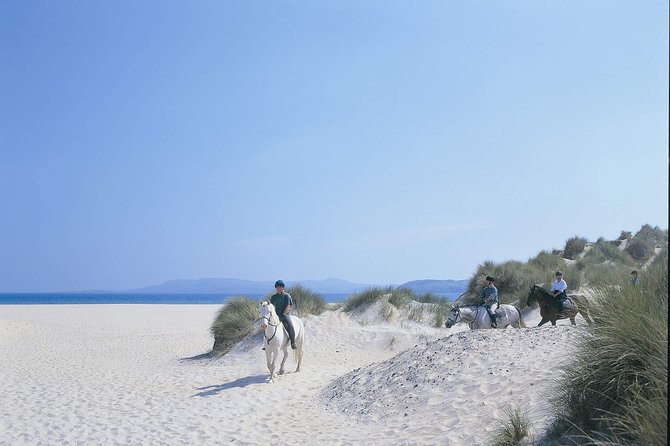 Beach & countryside horse riding outside Westport. Guided. 1 hour - Who Will Love This Tour?